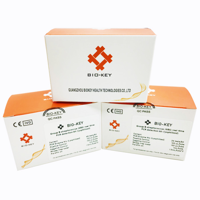 Real Time PCR Nhóm B Streptococcus GBS STD STI Test Kit Lyophilized 48 ...
